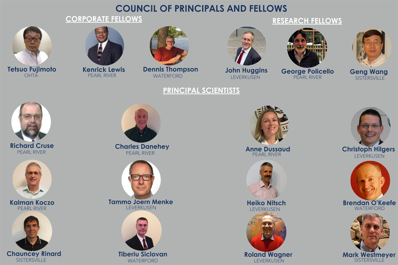 Council of Principals and Fellows (CPF) is Part of the Solution